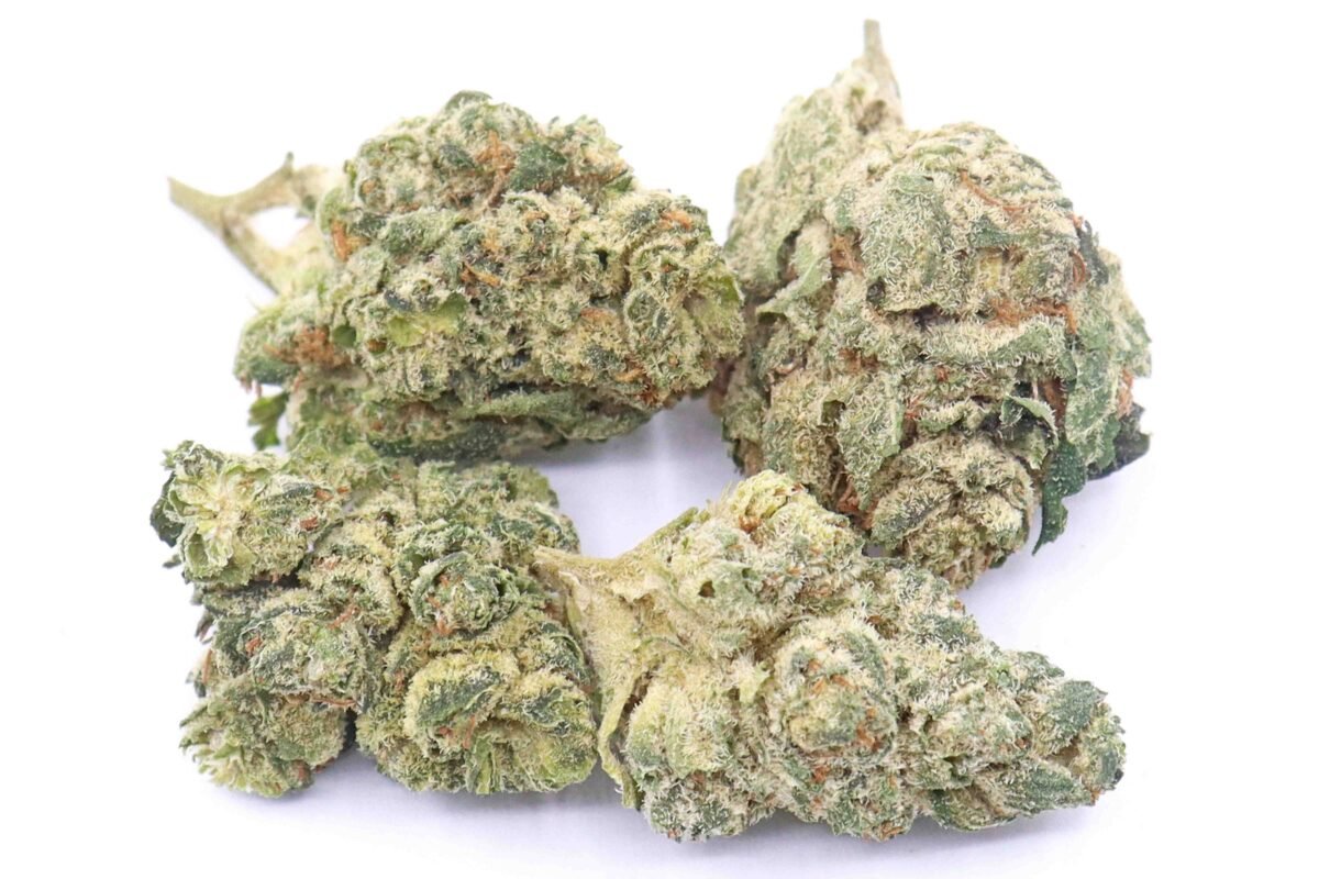 Shipwreck Strain Flower | Buy Weed Online Canada | Lowest Price