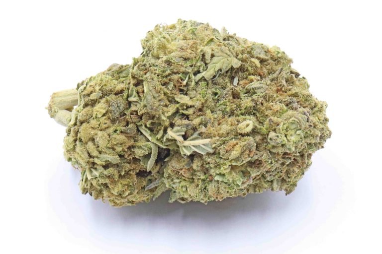 Mango Dream Strain, Mango Dream Hybrid | Buy Online Canada
