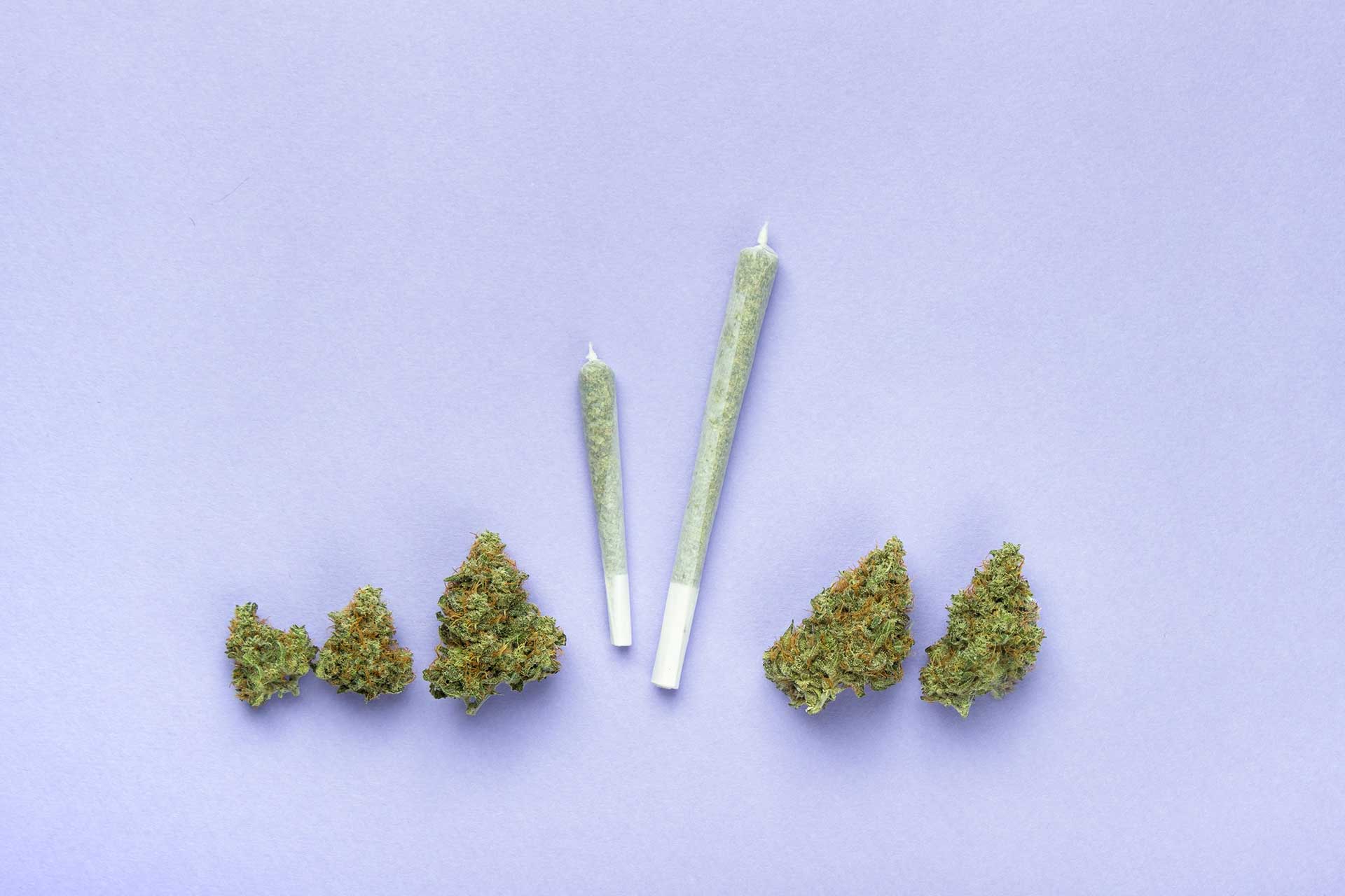 What Are Some Common Sizes of Weed?