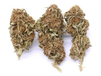 Buy Premium Weed, Concentrates and Edibles | Haute Health