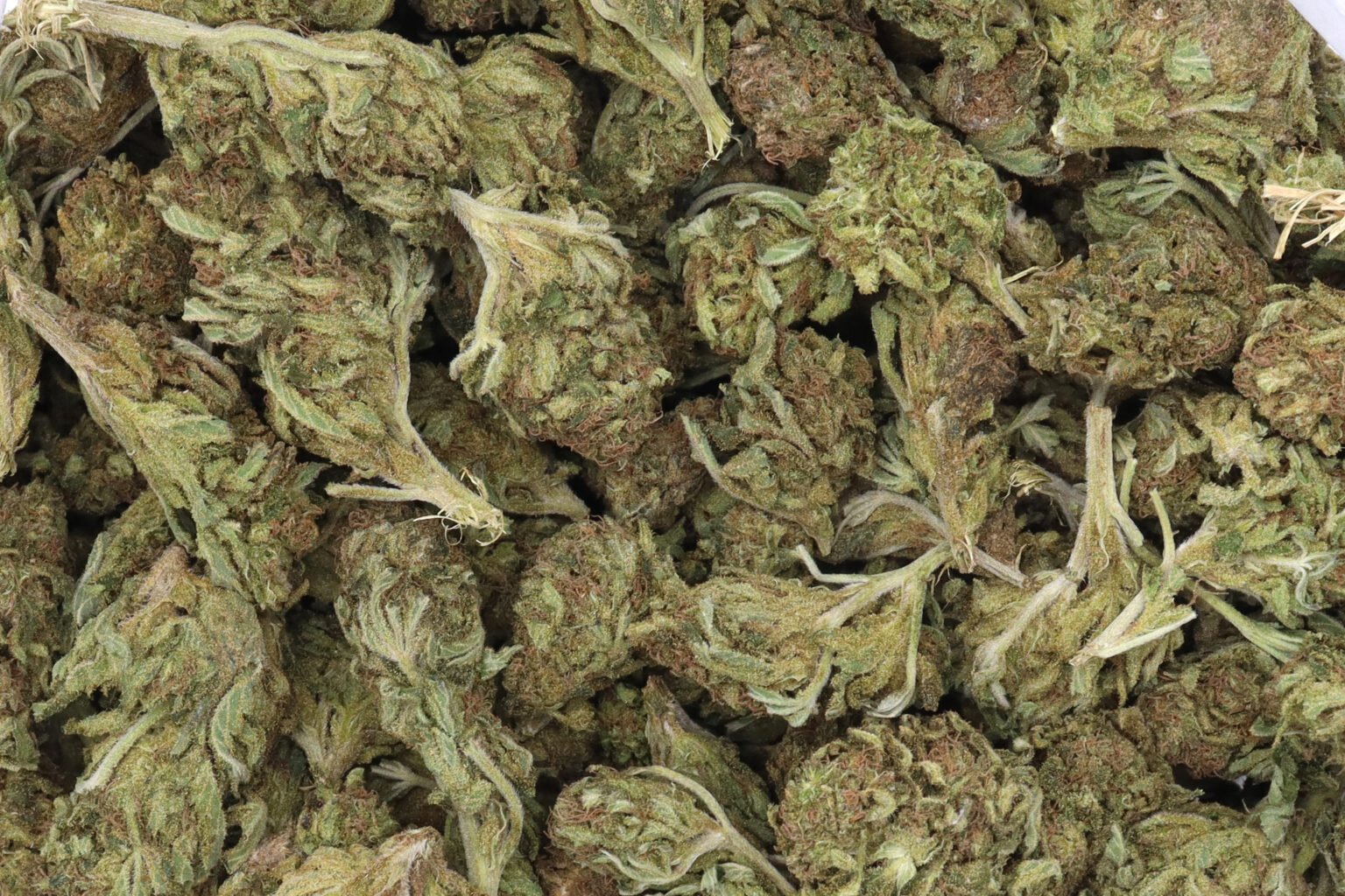 Cannalope Kush Flower | Buy Weed Online Canada | Lowest Price