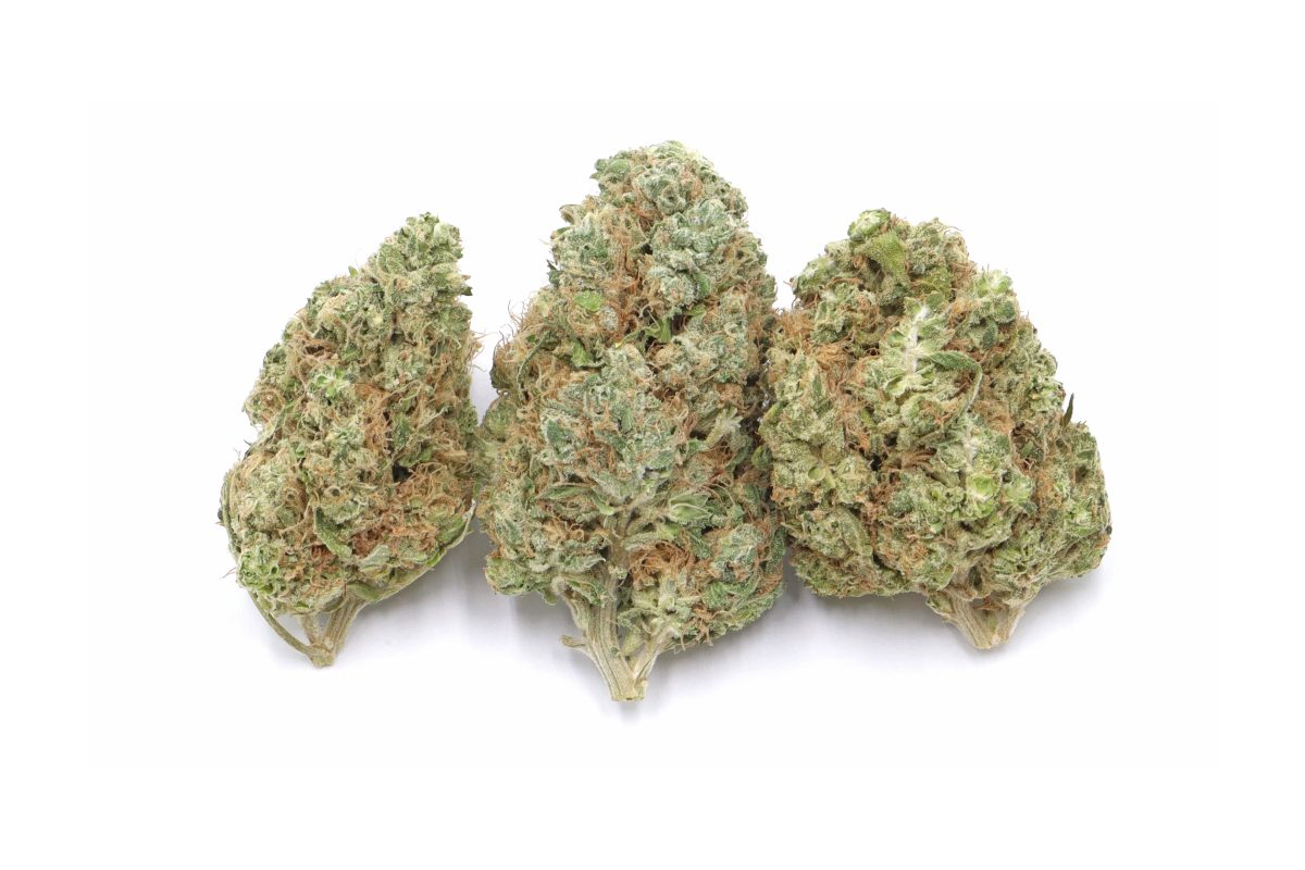 Red Congolese Strain, Red Congolese Flower | Buy Online Canada