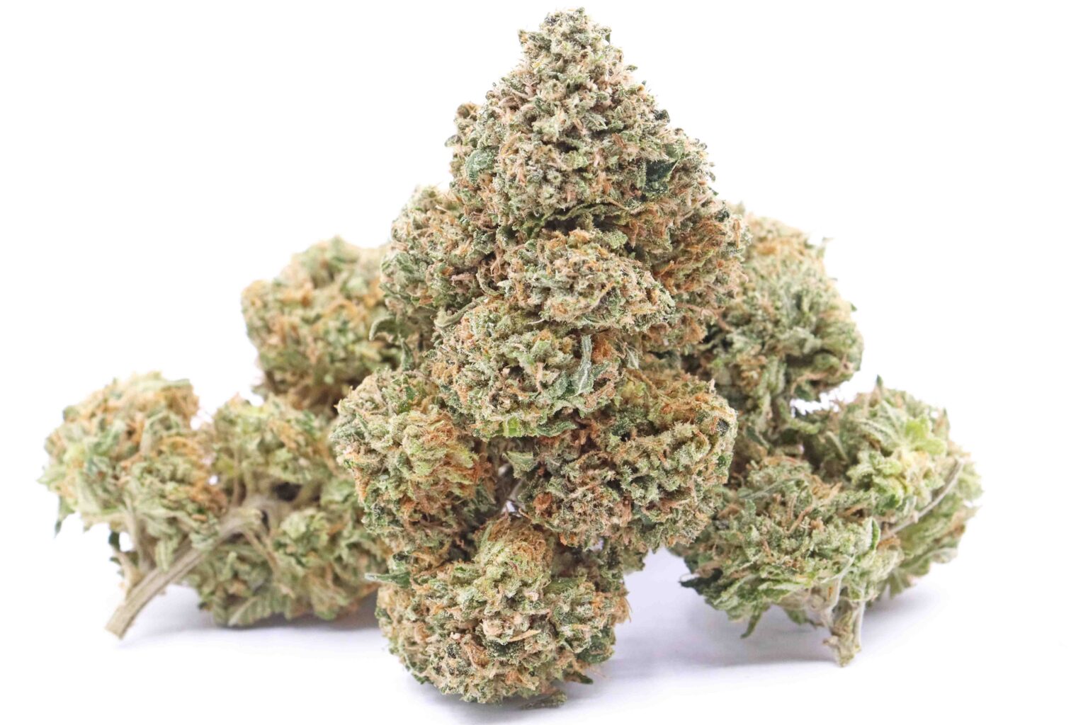 Tuna Kush, Tuna Kush Flower | Buy Online Canada Tuna Kush, Tuna Kush Flower | Buy Online Canada