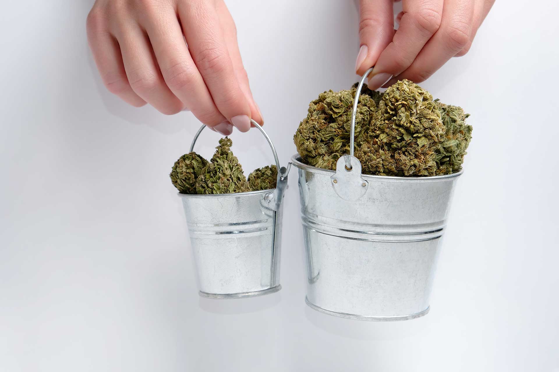 High Potency vs Low Potency: Which Is For You?